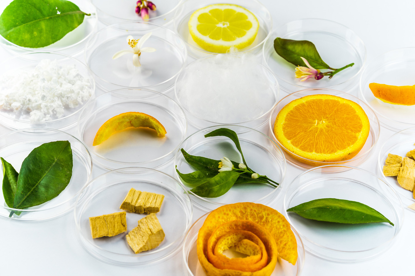 Peel and pulp collection in preparation