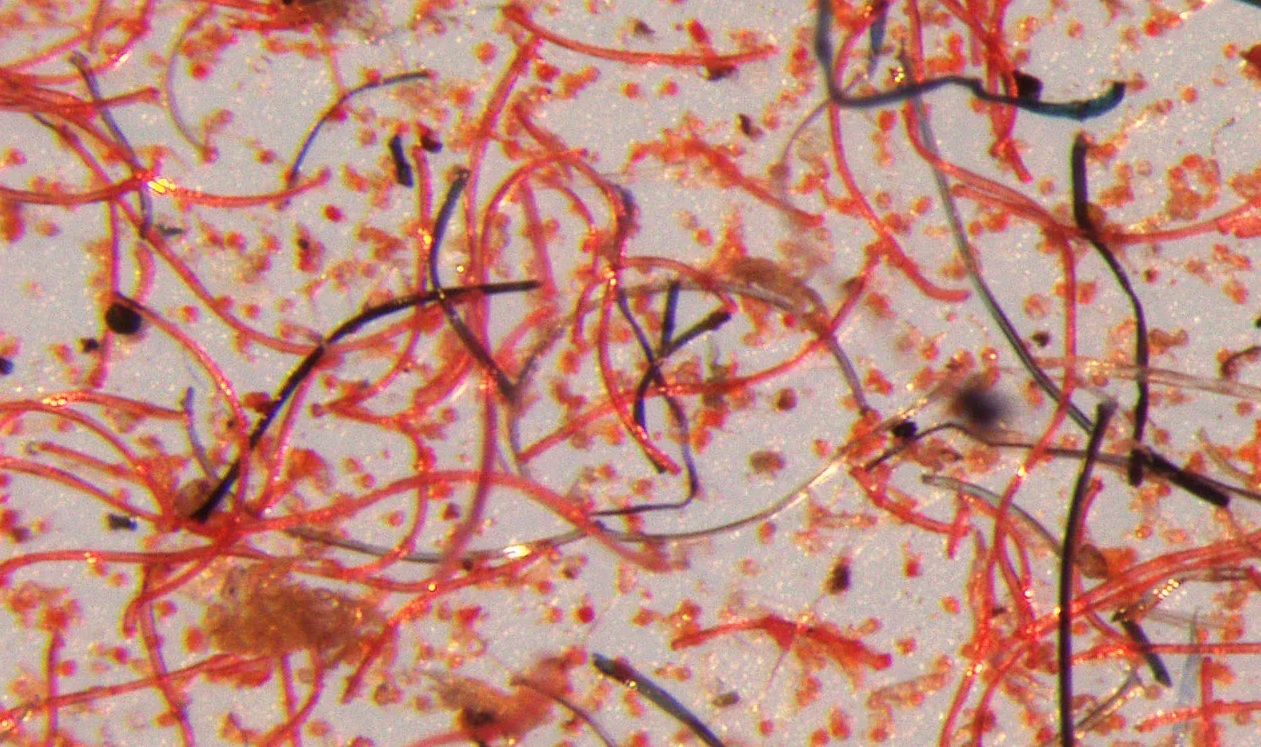 AATCC test method quantifies fibre shedding