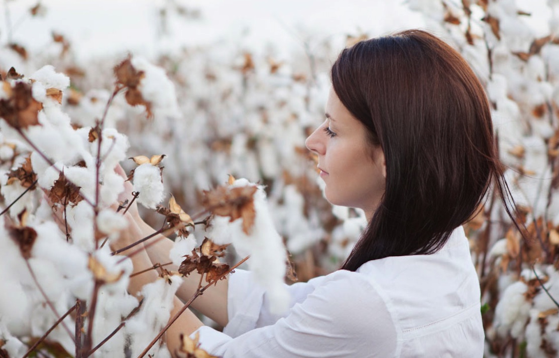 BASF collaborates with UN on sustainable cotton