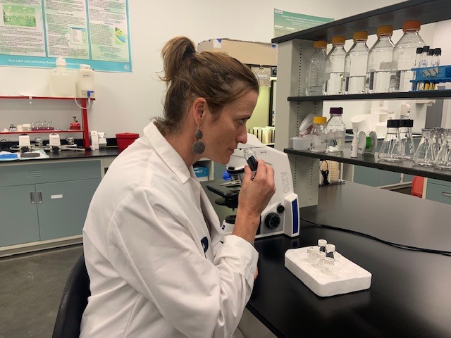 Assessing odour-reduction technology in textiles