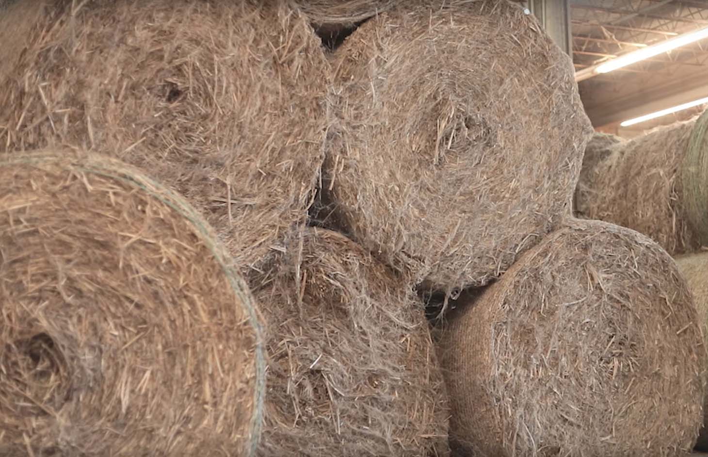 Benefits of US-grown hemp