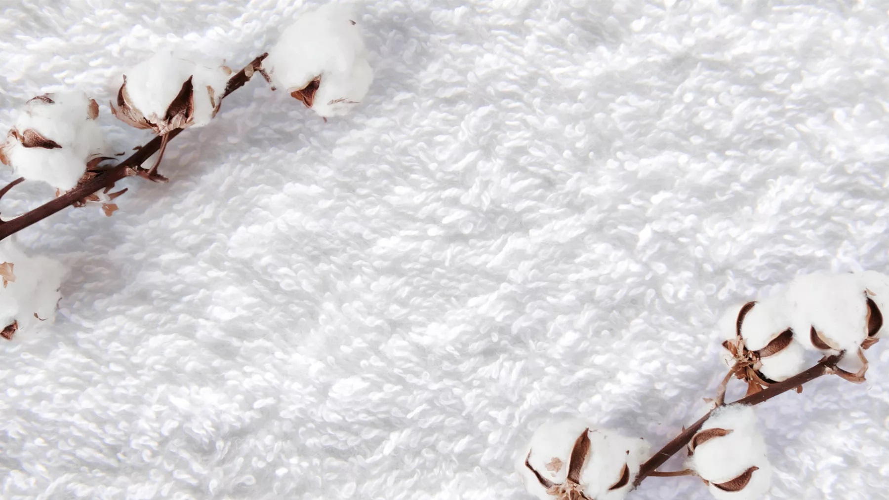 Superior cotton protection with DuraTech