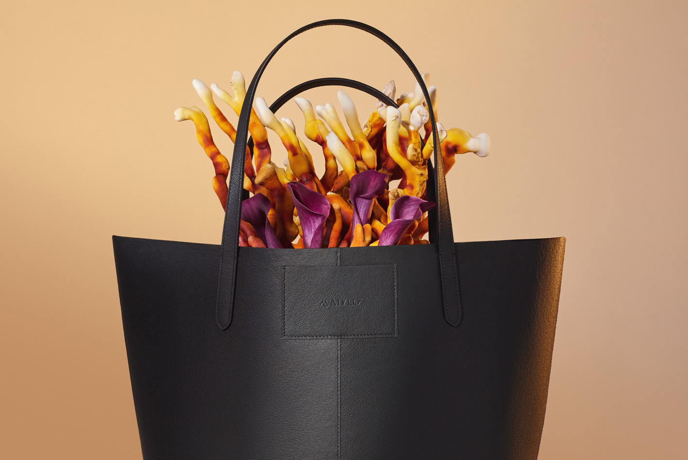 Boosting the production of Mylo mycelium