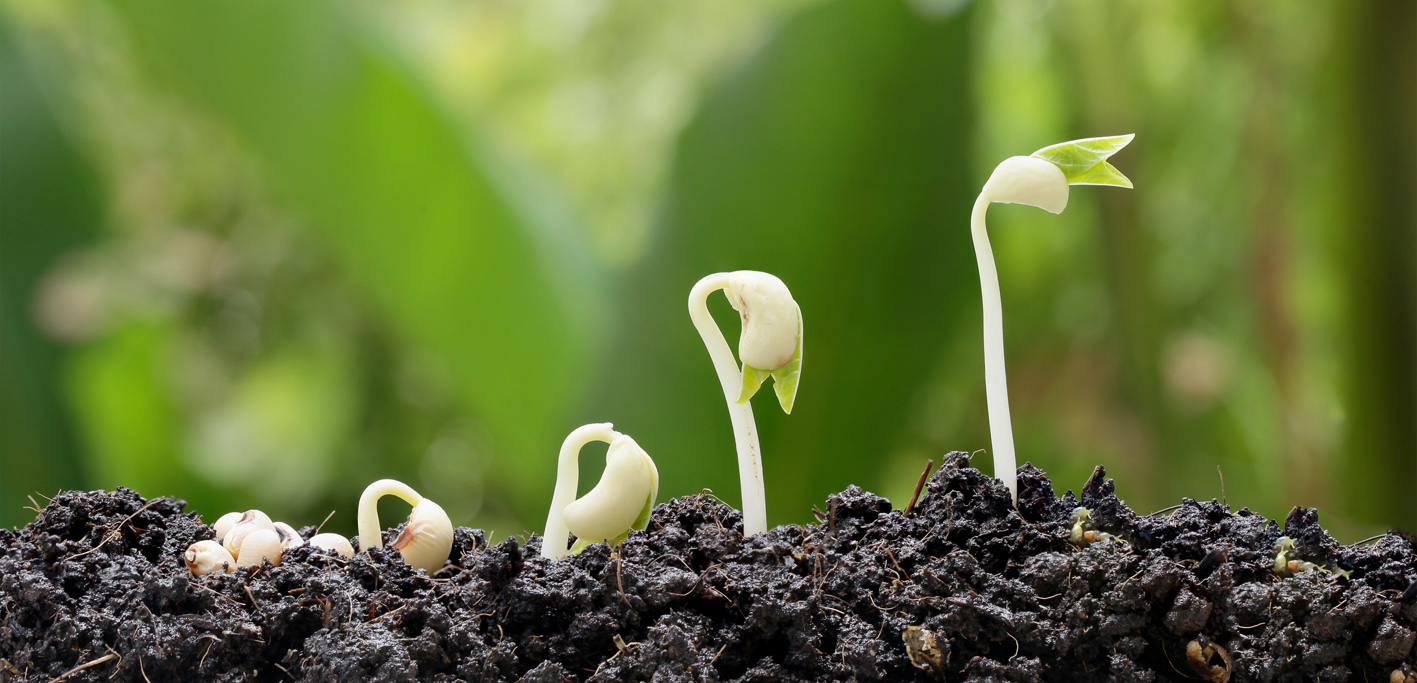 Avantium and Origin join forces