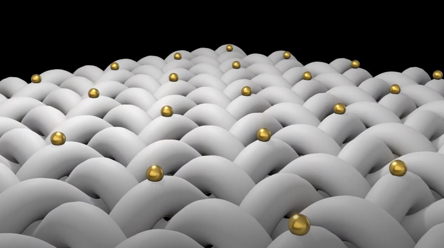 Expansion for Fuze Biotech