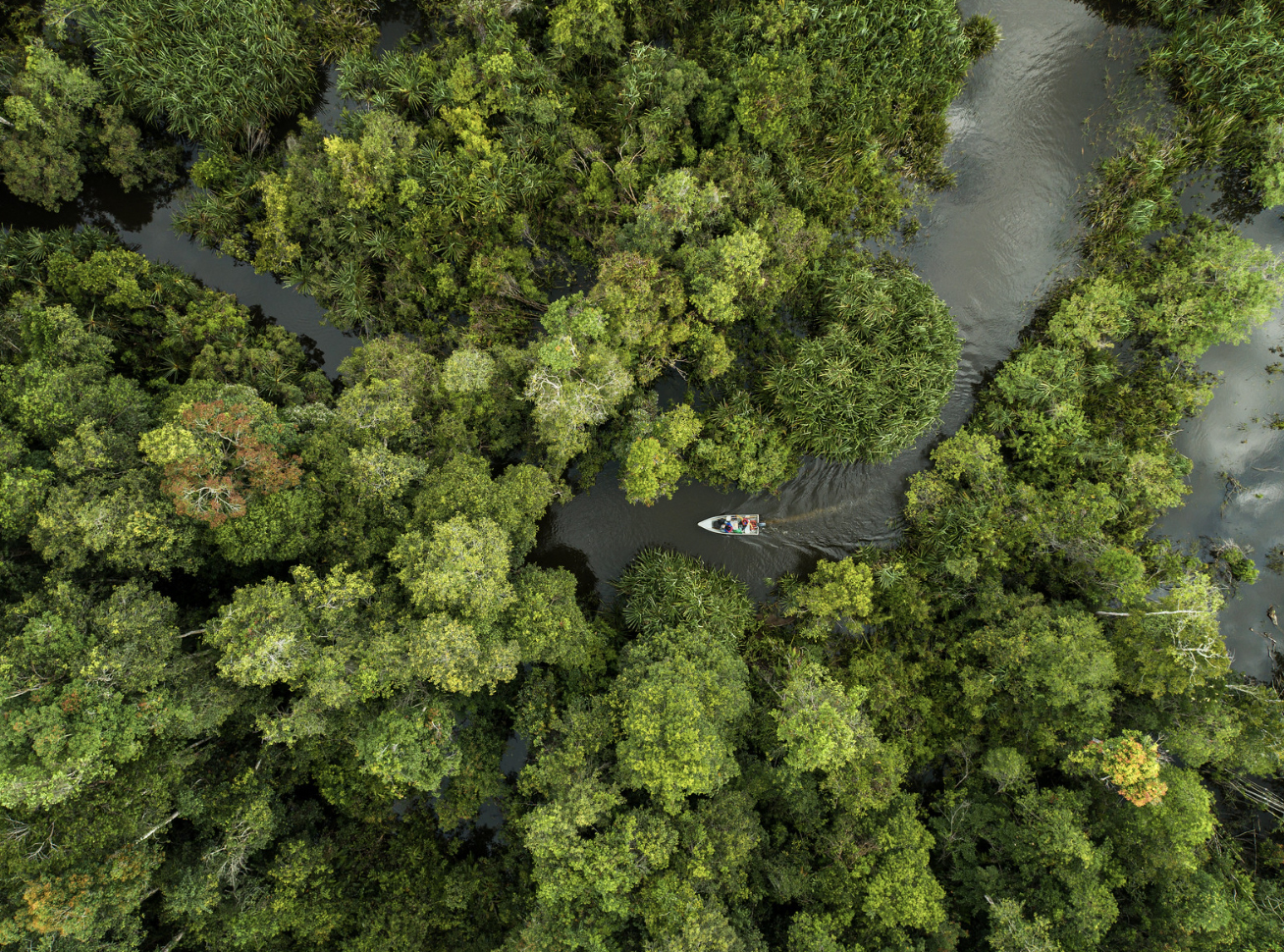 PEFC launches guide to sourcing