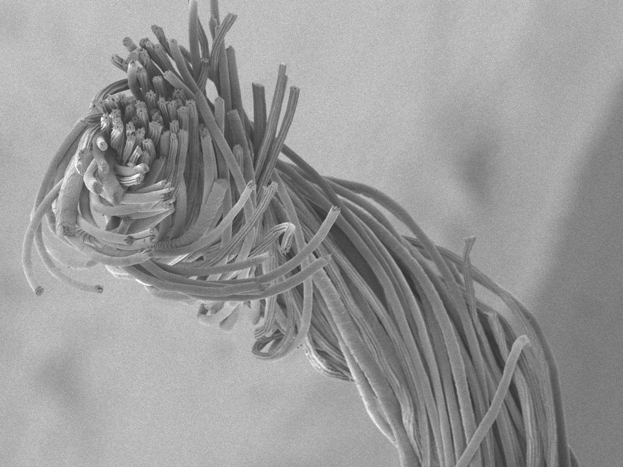 Advanced performance with Teijin’s new Octa sf