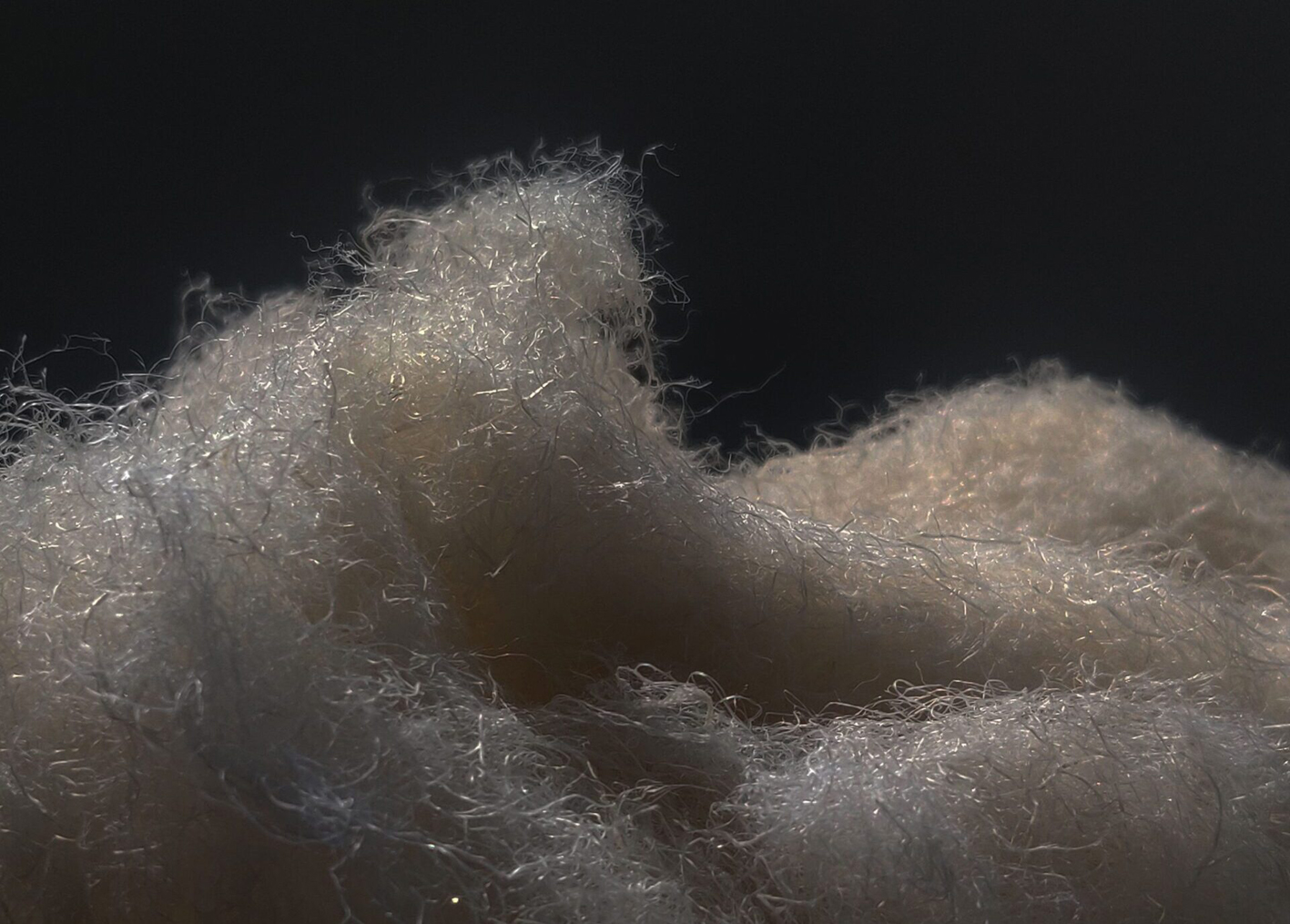 Altag Fibre Club pools resources in India