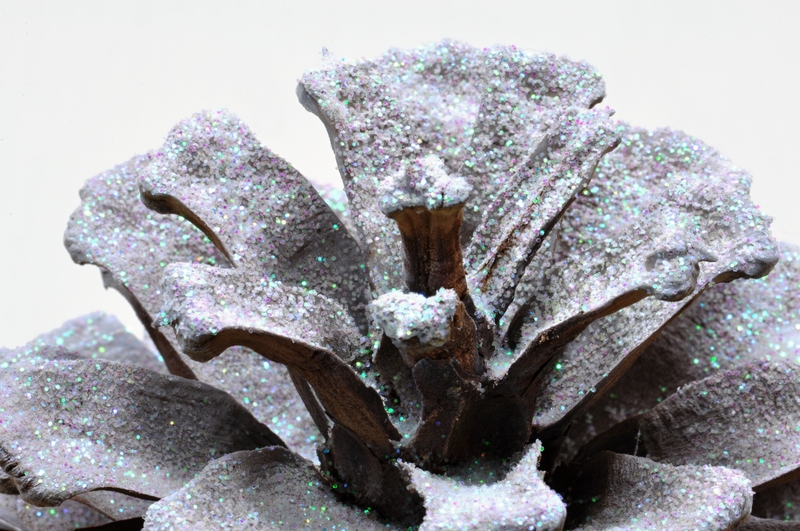 Biomimicry inspires the development of environmentally sustainable ...