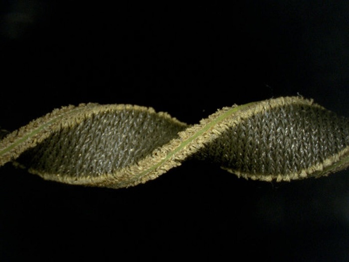 Silicone Fabric Sensor For Smart Robotic Apparel