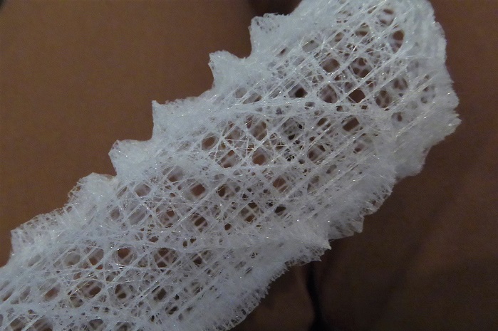 Biomimicry: challenging accepted views